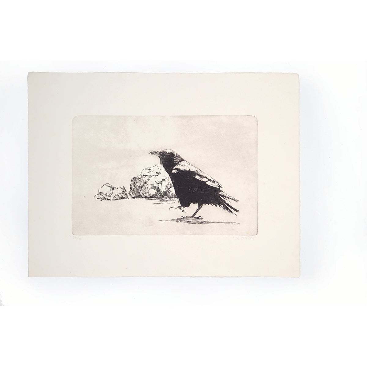 Raven walking etching – ot-art