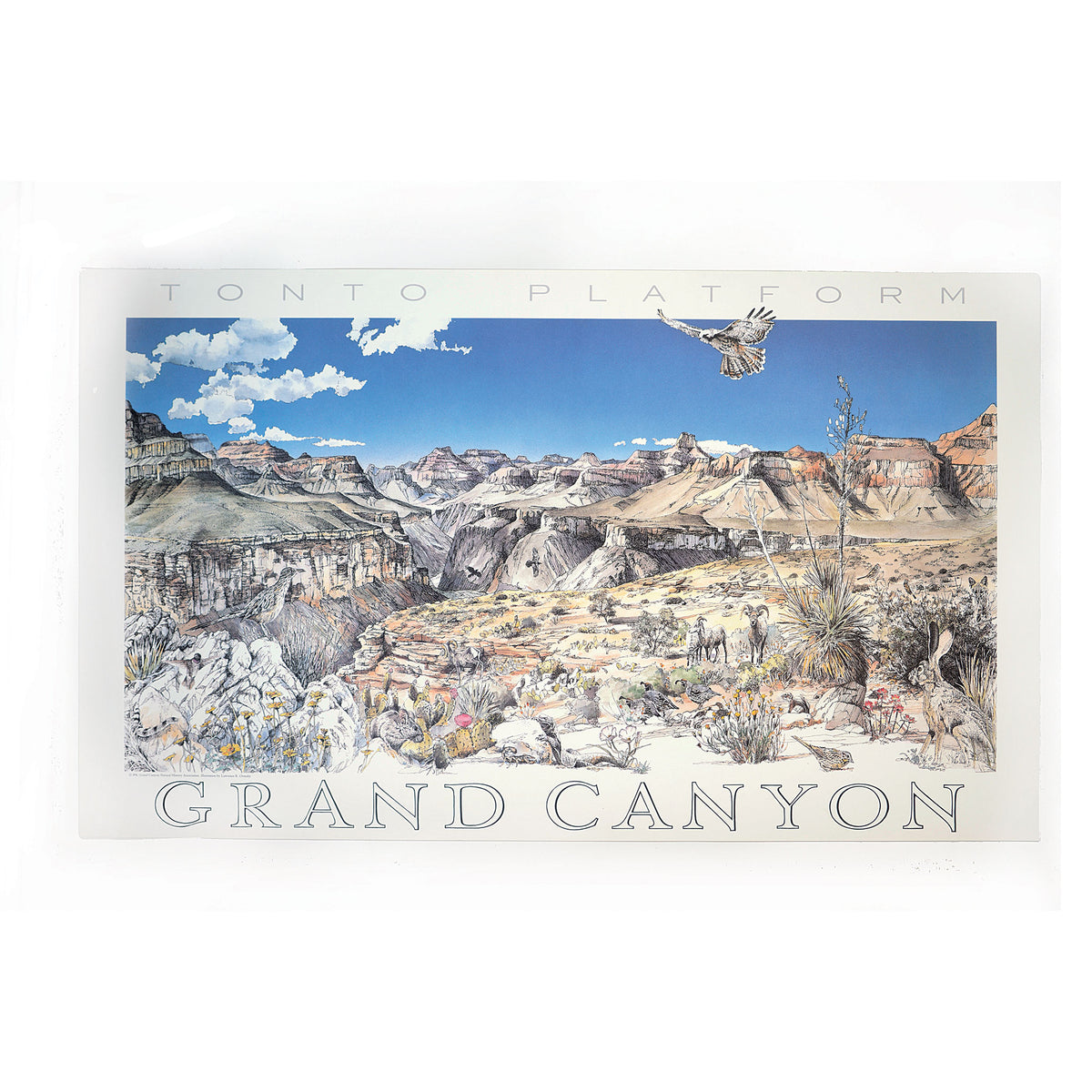 Tonto Plateau in the Canyon poster, Grand Canyon National Park, Arizon ...